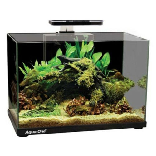 AQUA ONE Focus 36 Glass Aquarium - Victor Aquatics
