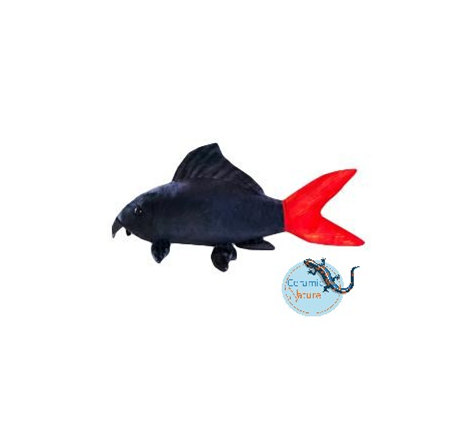 Red Tail Shark Plush - Victor Aquatics